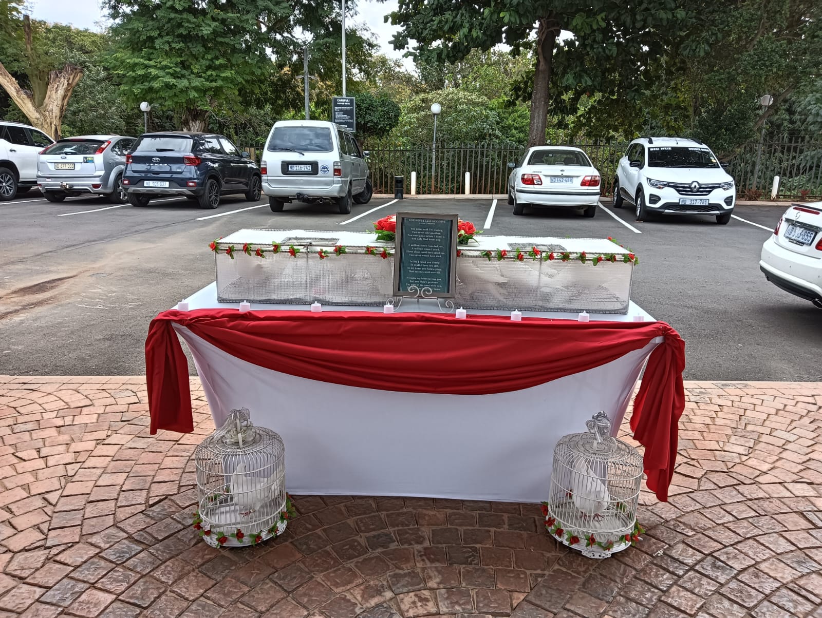 Elegant Dove Displays & Releases for Weddings, Funerals, and Special ...