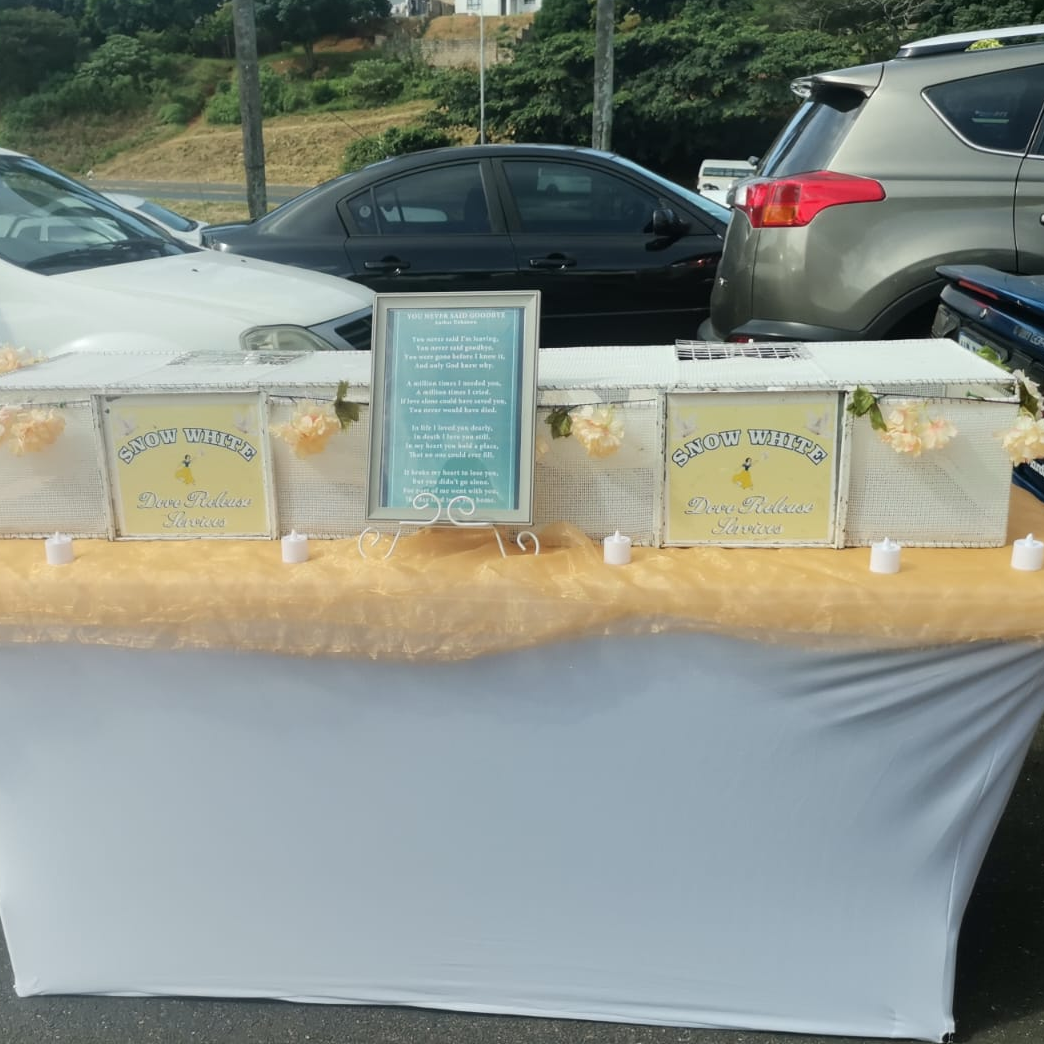 Elegant Dove Displays & Releases for Weddings, Funerals, and Special ...